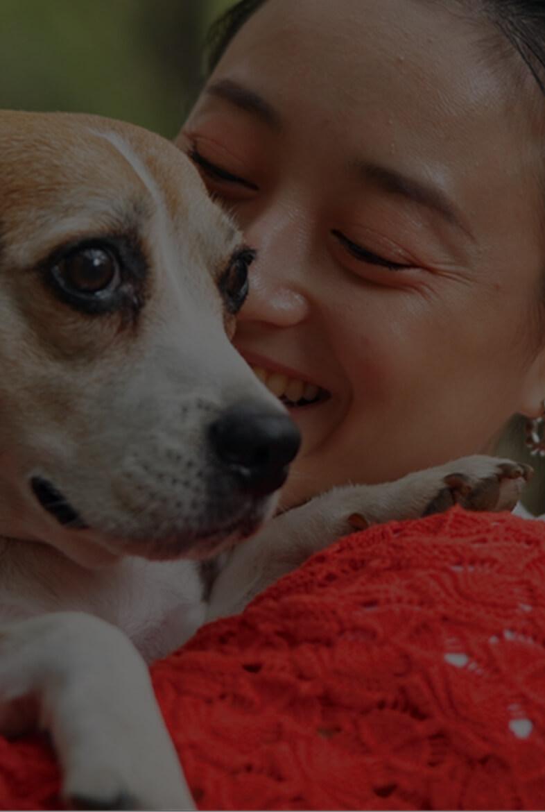 Veterinarian in Spring Hill, FL - Spring Hill Animal Clinic